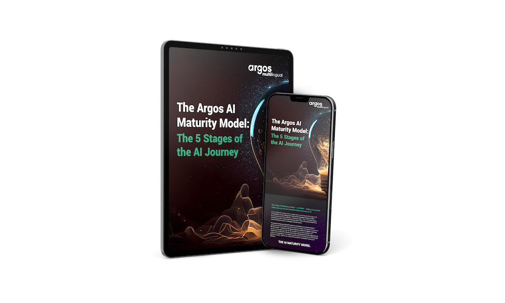 The AI Maturity Model